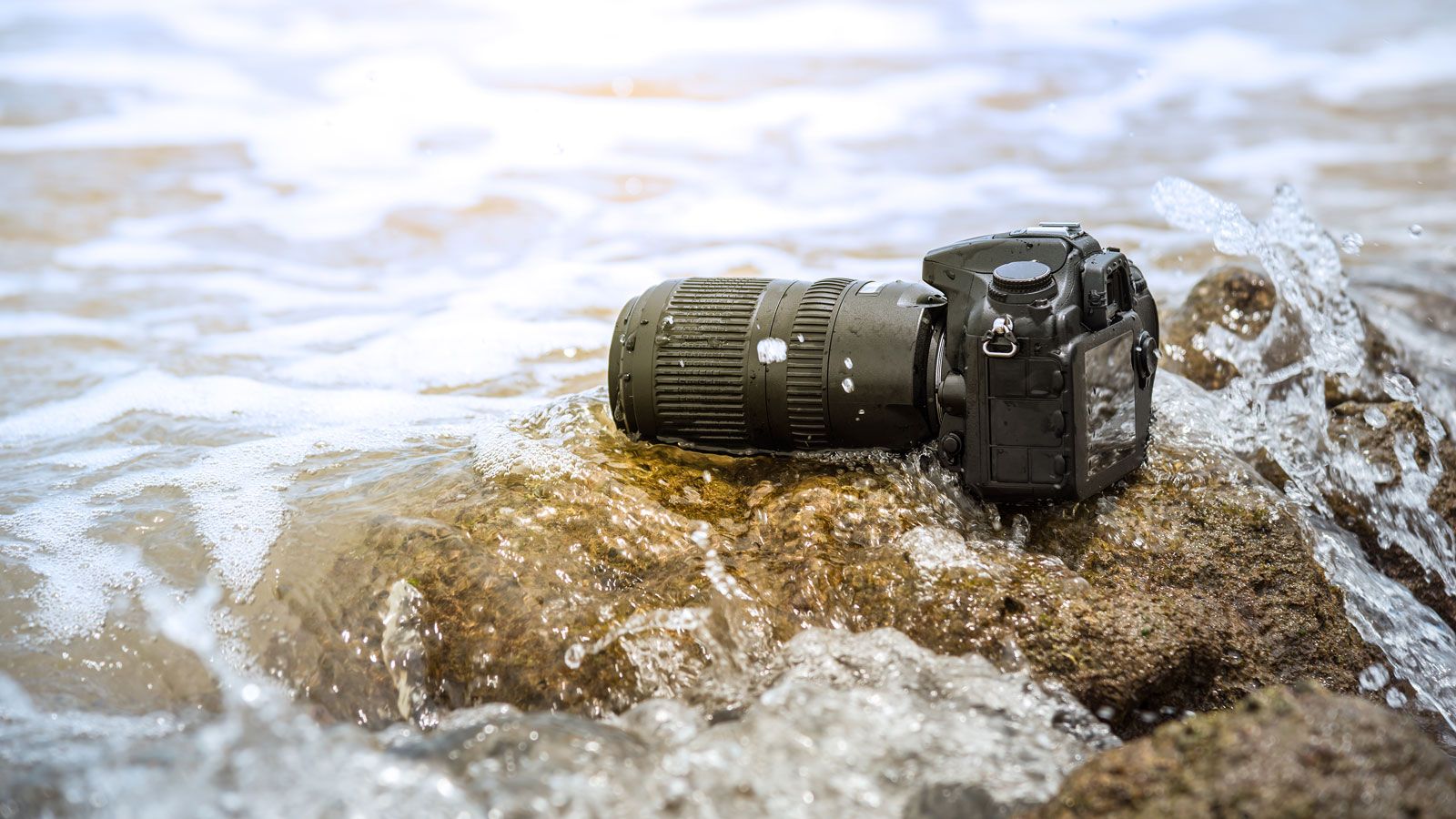 Best Waterproof Cameras 2020: The Best New Cameras For Underwater Exploring